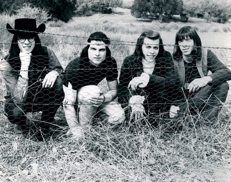 Daryl Hooper of The Seeds Interview - It's Psychedelic Baby Magazine