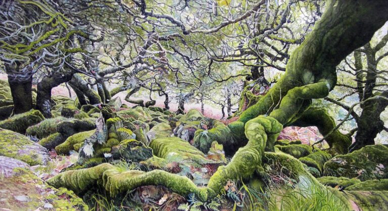 Interview With Psychedelic Artist John Hurford - It's Psychedelic Baby ...