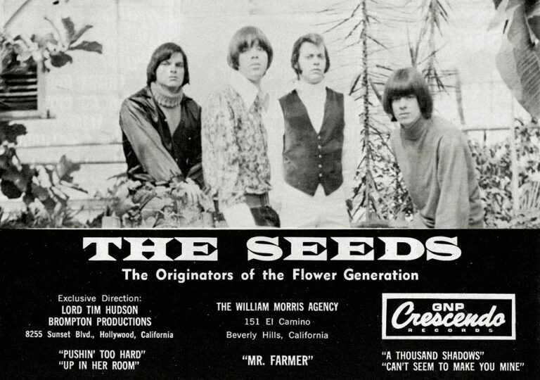 Daryl Hooper of The Seeds Interview - It's Psychedelic Baby Magazine