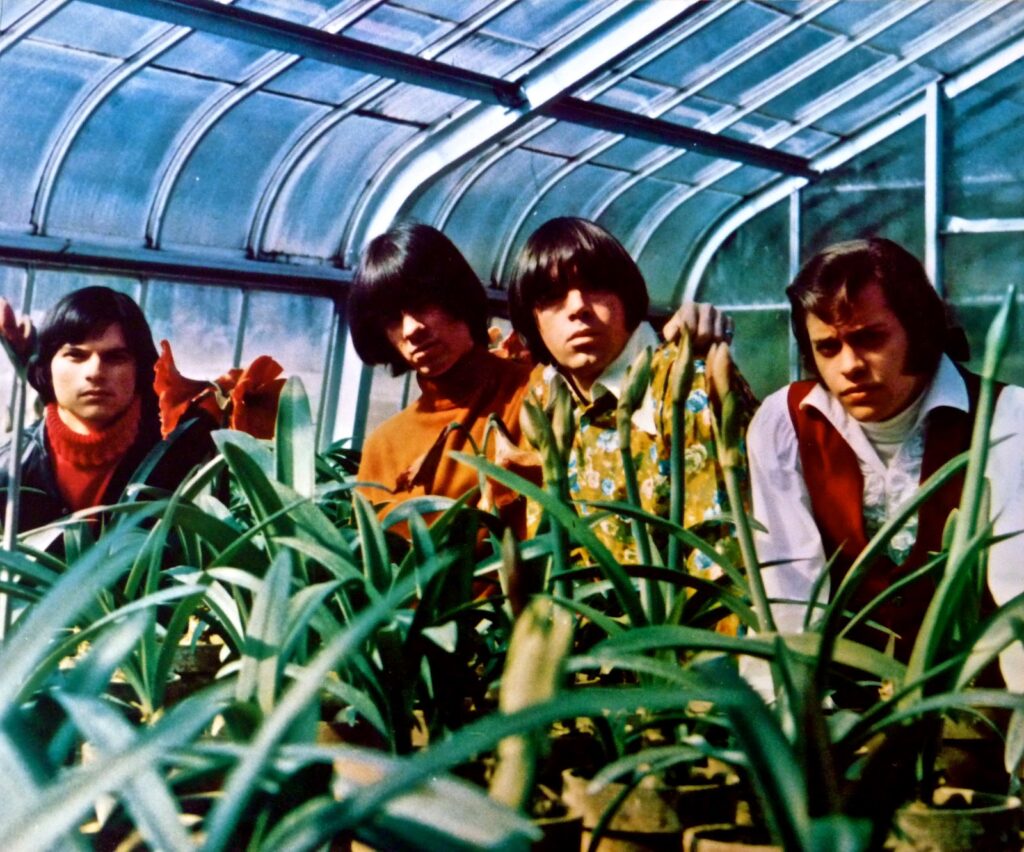 Daryl Hooper of The Seeds Interview - It's Psychedelic Baby Magazine