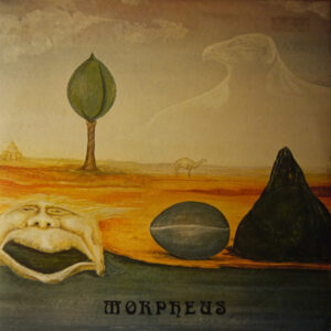 Morpheus | Opossum interview - It's Psychedelic Baby Magazine