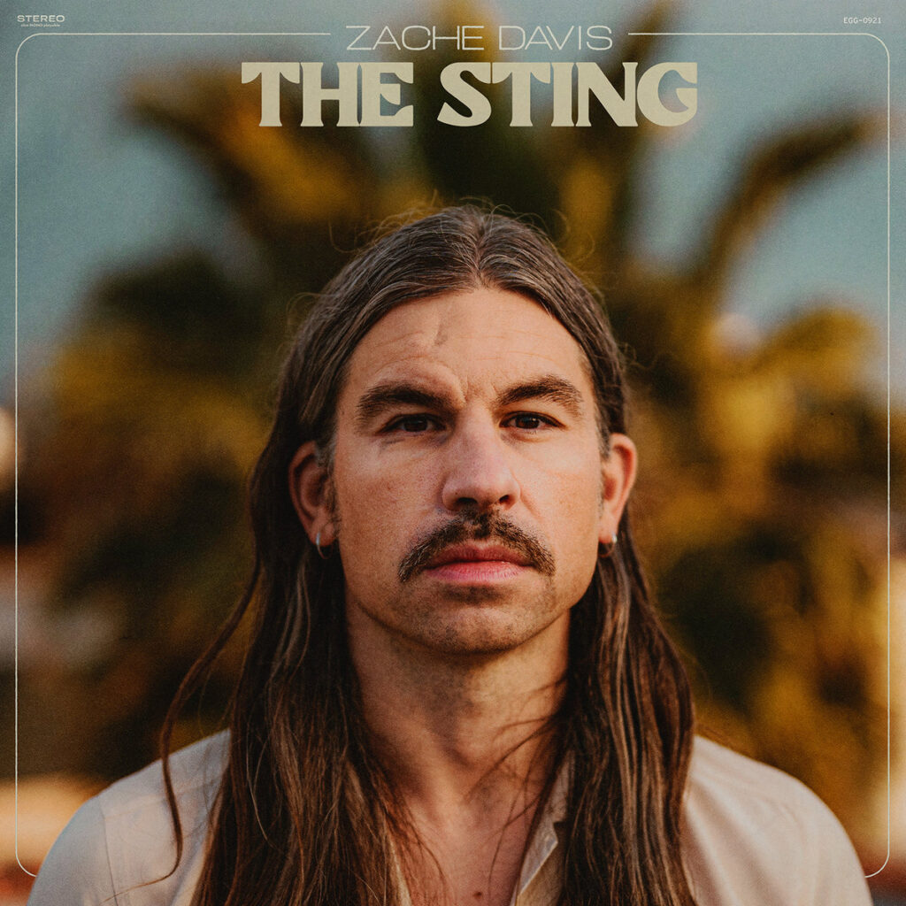 ‘Strangers’ by Zache Davis | New Album, ‘The Sting’ - It's Psychedelic ...