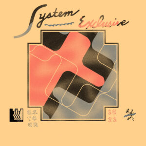 ‘Game of the Fool’ by System Exclusive | Debut LP Out via Castle Face ...
