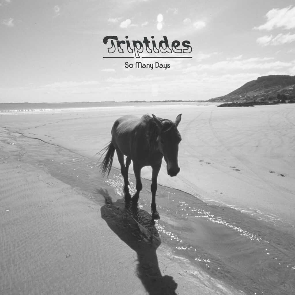‘Highway Sun’ by Triptides | New Album, ‘So Many Days’ - It's ...