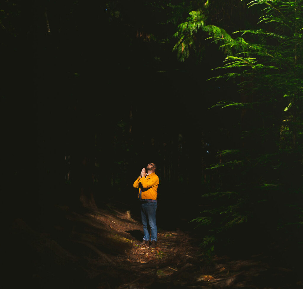 Held By Trees | Interview | David Joseph | New Album, ‘Solace’ - It's ...