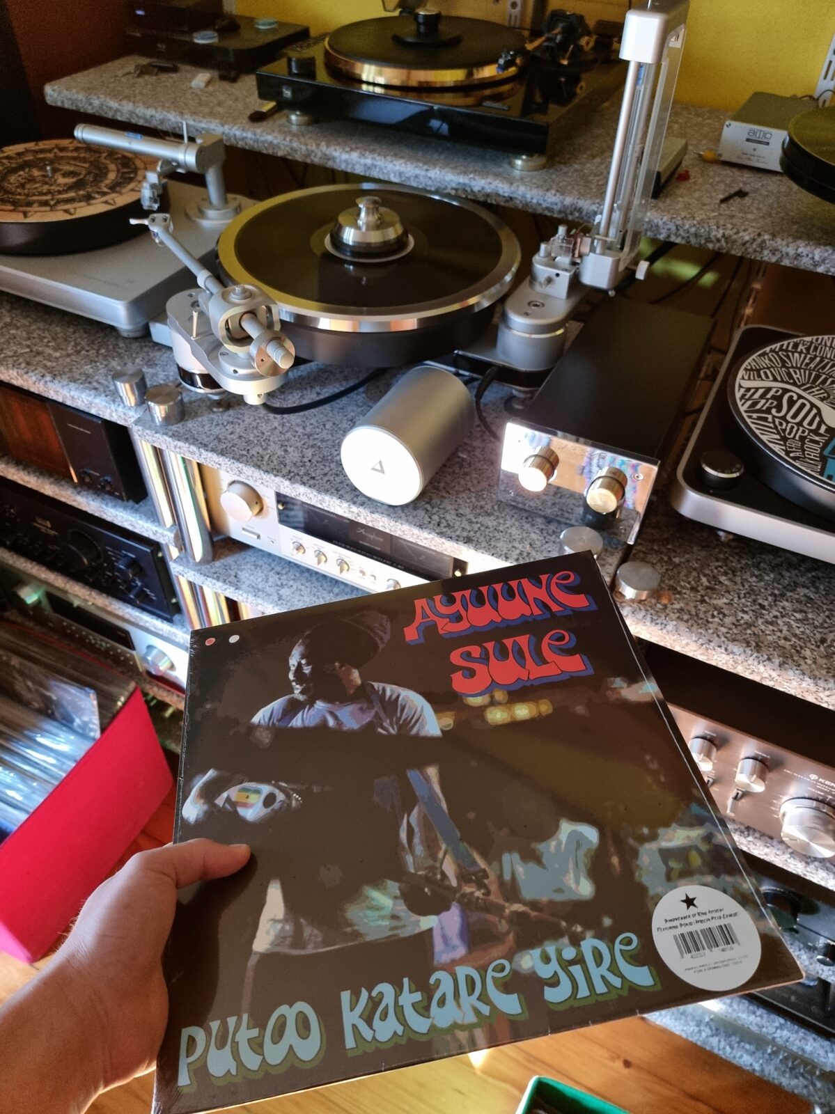 Pearls Before Swine | Interview | Tom Rapp - It's Psychedelic Baby Magazine