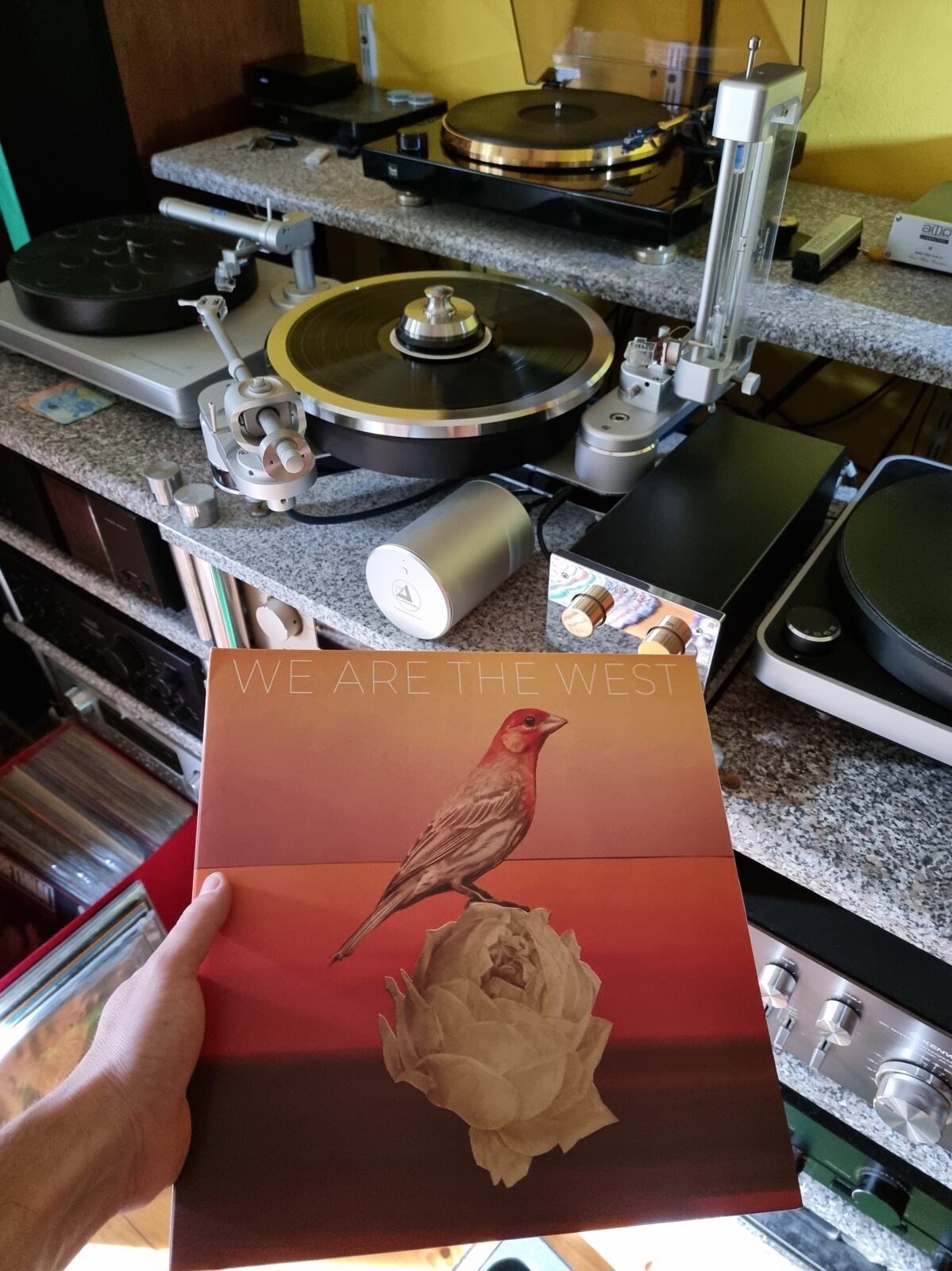 Morgan Delt - Phase Zero (2016) review - It's Psychedelic Baby Magazine