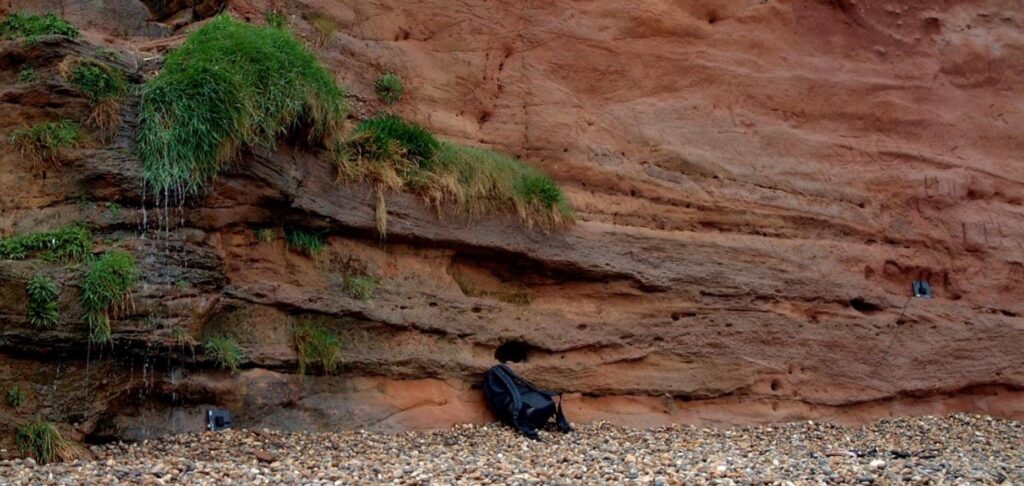 The Story of A GIANT by The Sons of TC-Lethbridge - It's Psychedelic ...