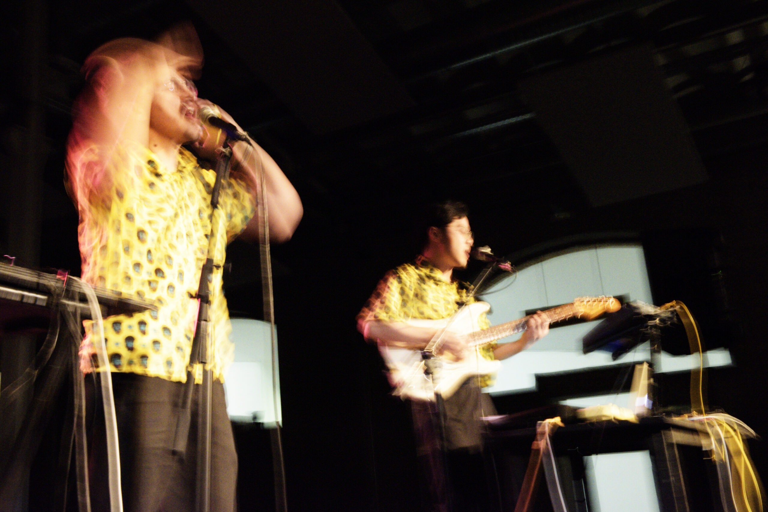 'La Reina Es Un Lagarto' by Flash Amazonas | New Album, 'uva-uva' - It ...