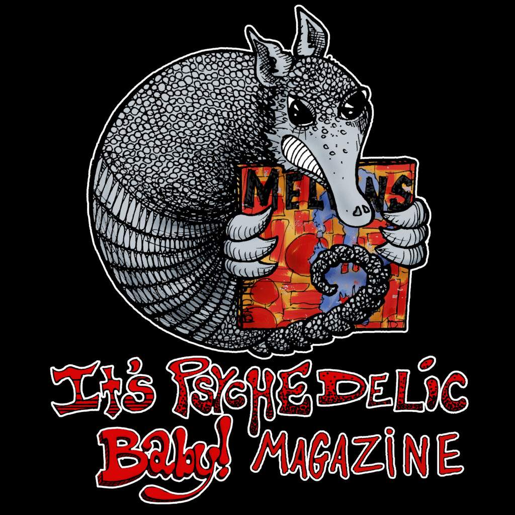 Melvins | Interview | New Album, 'Bad Mood Rising' - It's Psychedelic ...