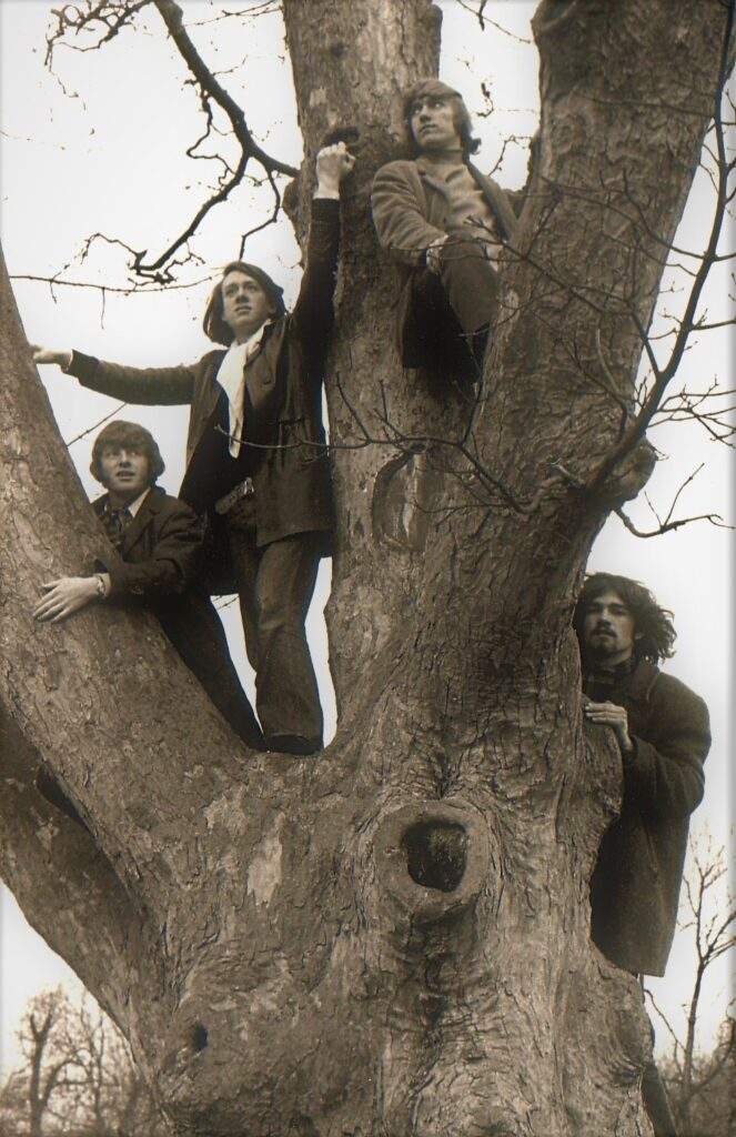 DARK | Interview | 14-Volume Series of Complete Recordings - It's ...