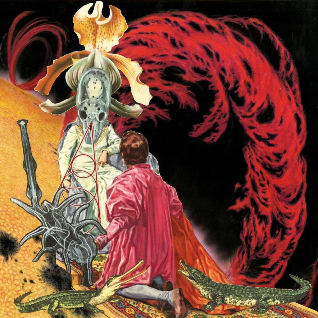 Warp | Interview | New Album, 'Bound by Gravity' - It's Psychedelic ...