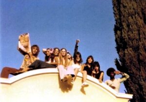 The Dogs | Interview | "Proto Punk Heroes" - It's Psychedelic Baby Magazine