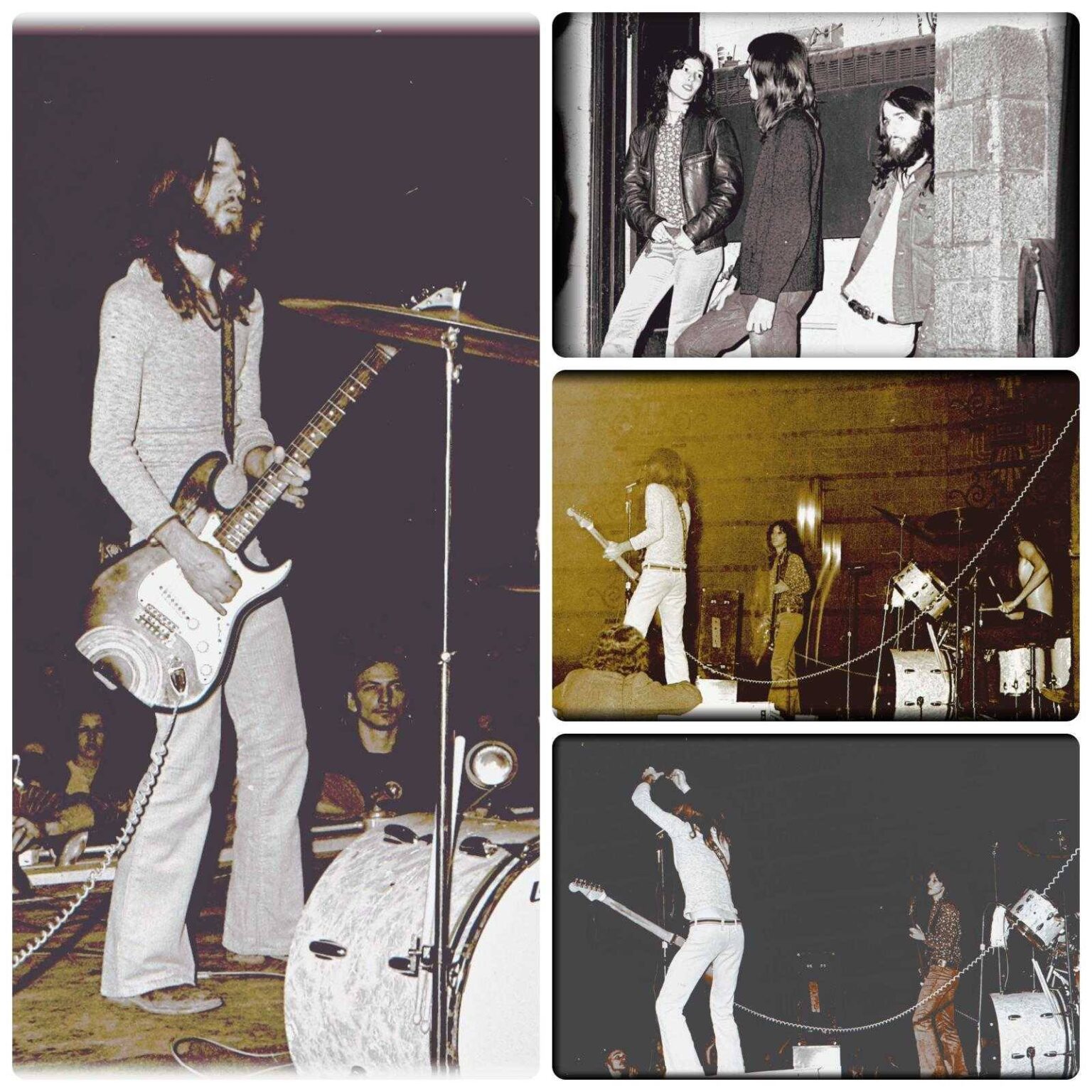 The Dogs | Interview | "Proto Punk Heroes" - It's Psychedelic Baby Magazine