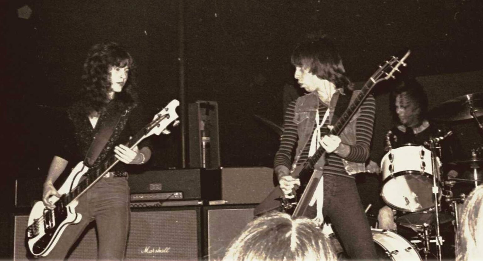 The Dogs | Interview | "Proto Punk Heroes" - It's Psychedelic Baby Magazine