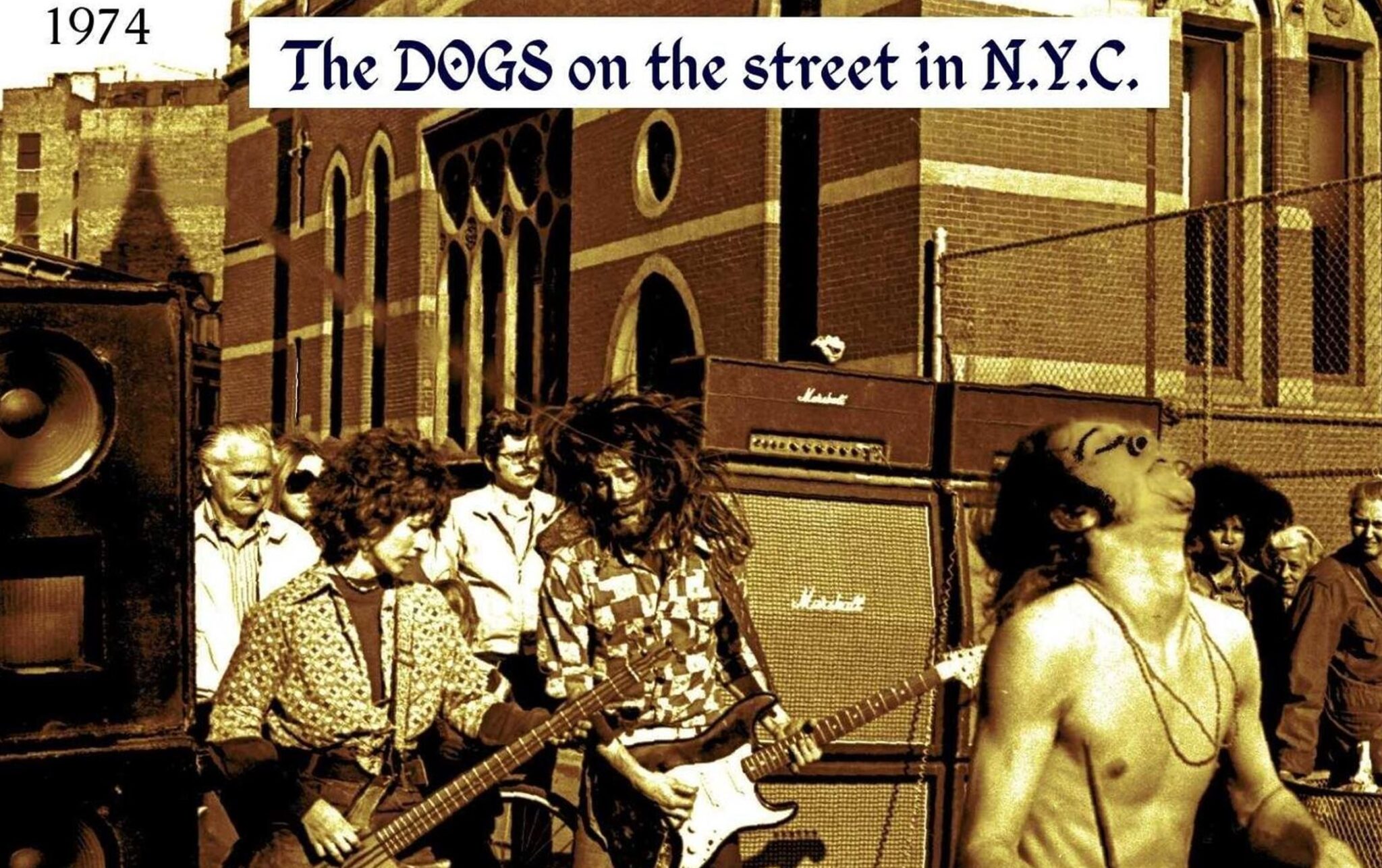 The Dogs | Interview | "Proto Punk Heroes" - It's Psychedelic Baby Magazine