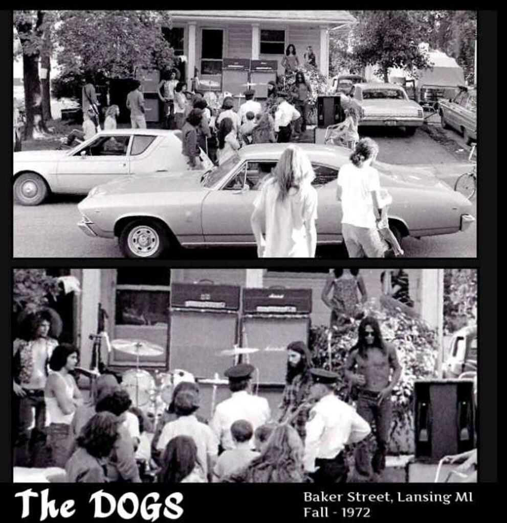 The Dogs | Interview | "Proto Punk Heroes" - It's Psychedelic Baby Magazine