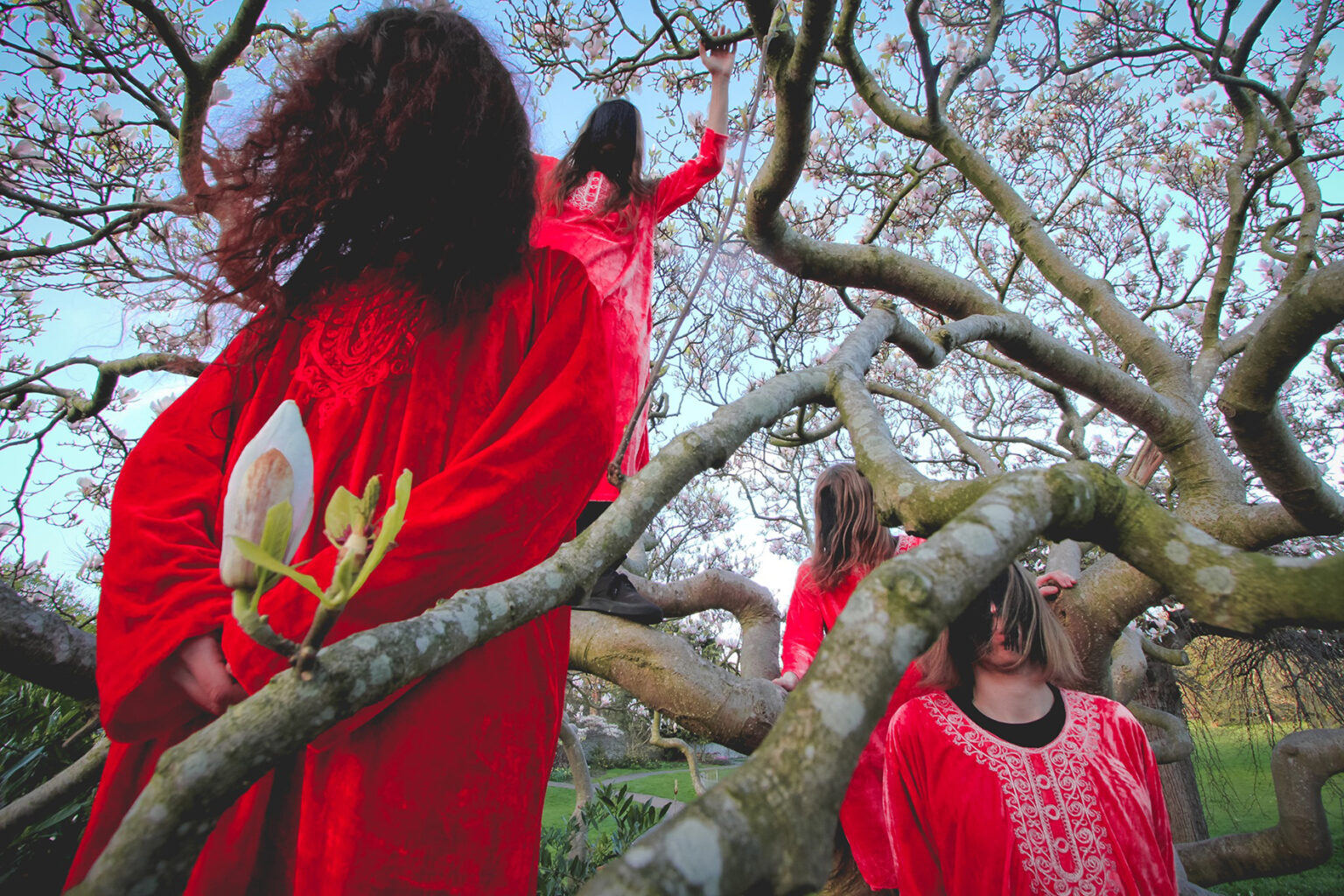 'The Imprecation Of Anima' by Codex Serafini | Interview | Album ...