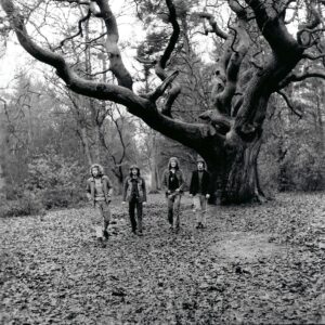 Lifeblud | Interview | "Lost Acetate of Folky Prog" - It's Psychedelic ...