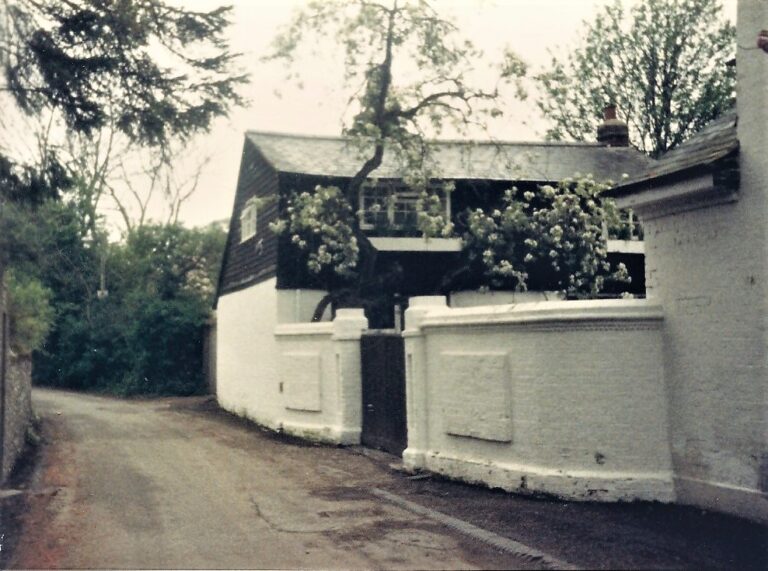 Lifeblud | Interview | "Lost Acetate of Folky Prog" - It's Psychedelic ...