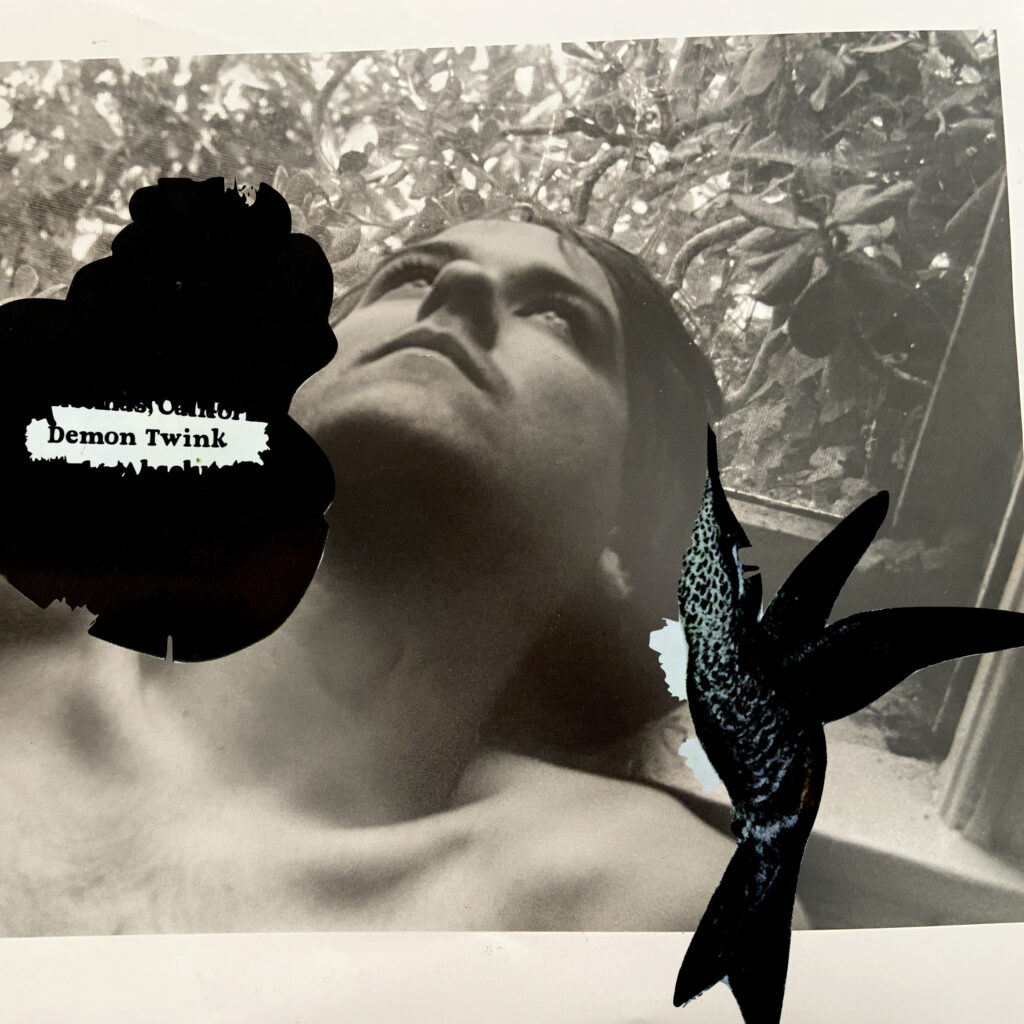 Demon Twink By Caleb Nichols New Album Lets Look Back Its 7997