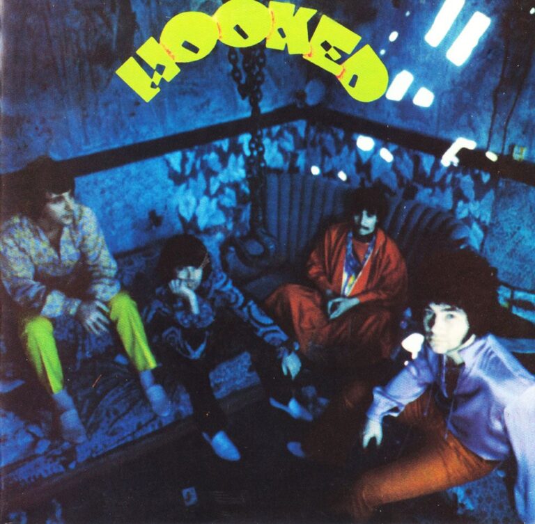 The Grass Roots | Dennis Provisor | Interview - It's Psychedelic Baby ...