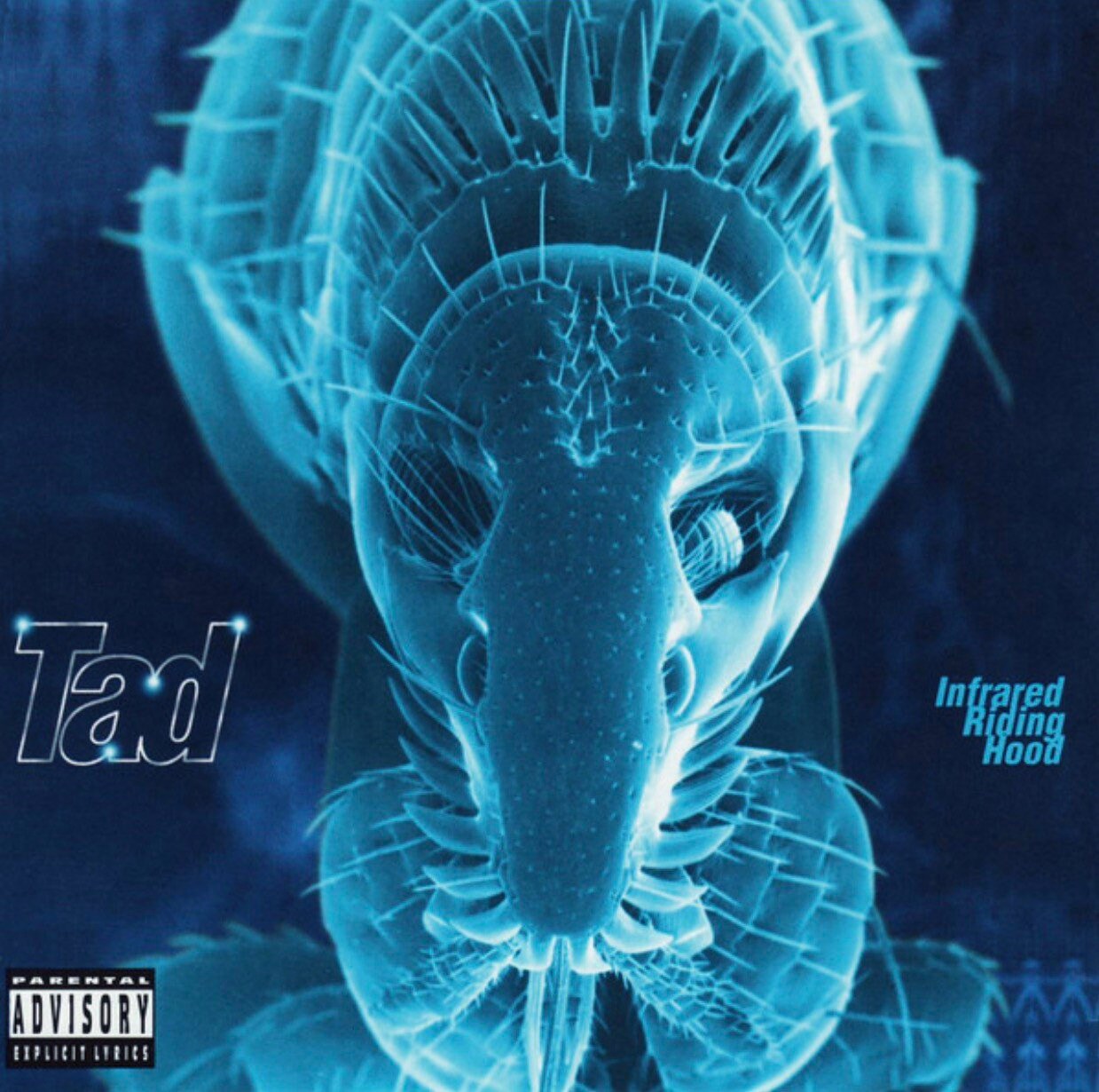 TAD | Interview | Thomas Andrew Doyle | Releases His 9th Solo Full ...