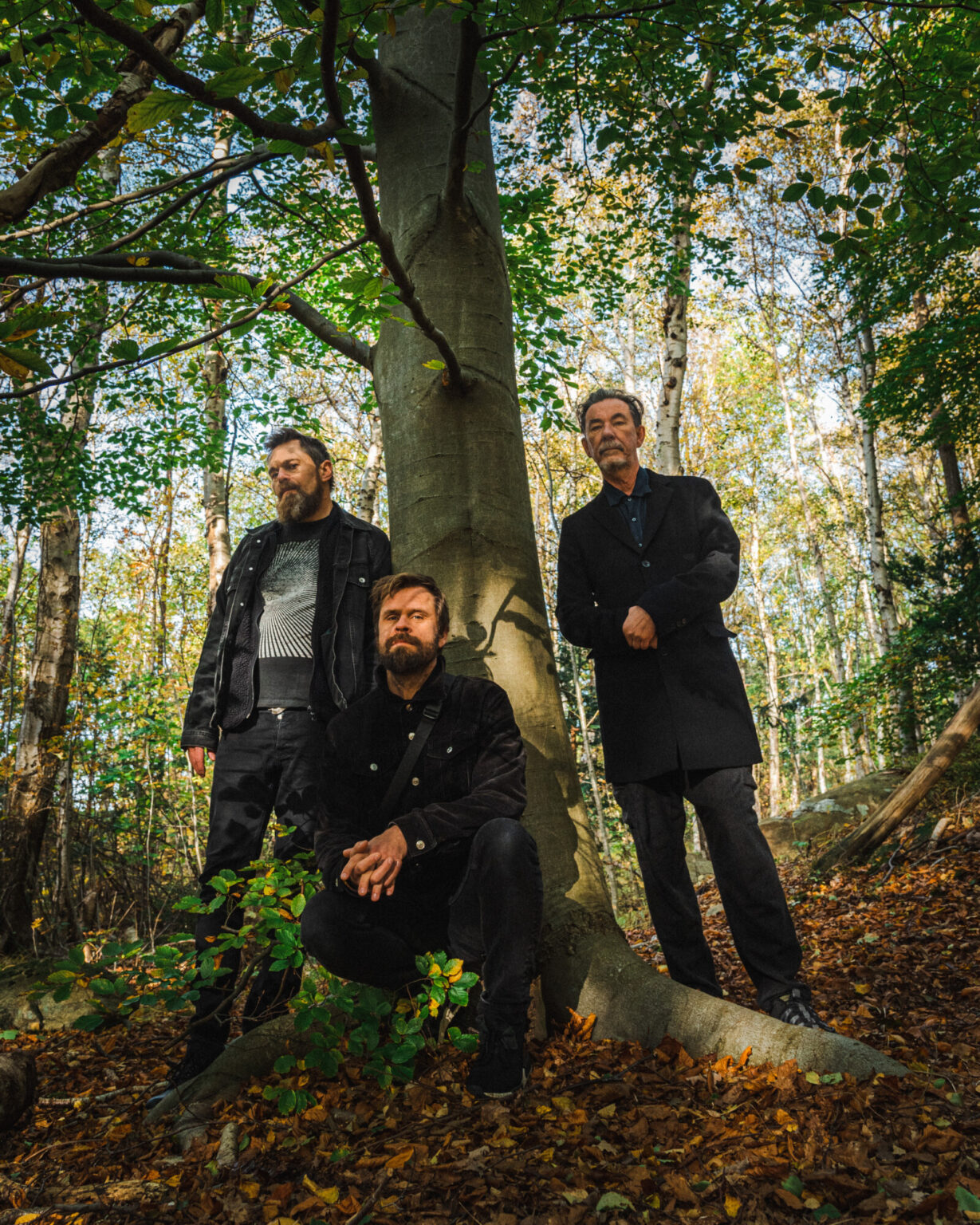 'The Green Reverb' by Cosmic Garden Project - It's Psychedelic Baby ...