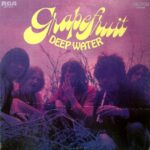 Grapefruit | Interview | "I heard Paul McCartney play 'Hey Jude' to ...