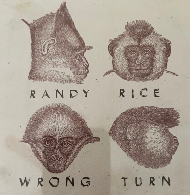 Randy Rice | Interview | Reissue of 1974 Private Press Gem - It's ...