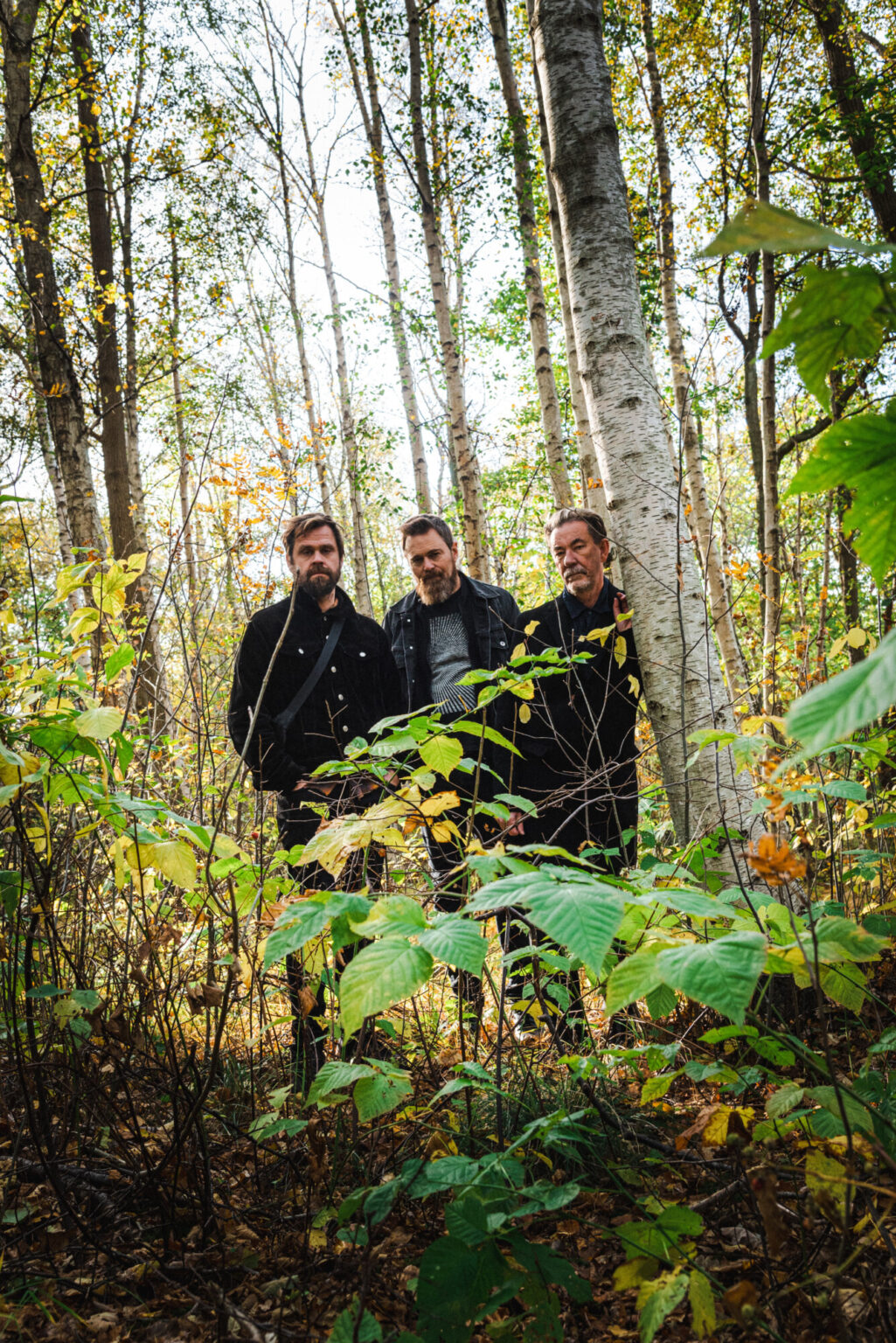 Interview Archives - It's Psychedelic Baby Magazine