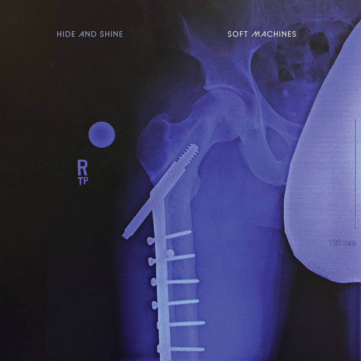 Hide and Shine | Interview | New Album, 'Soft Machines' - It's ...