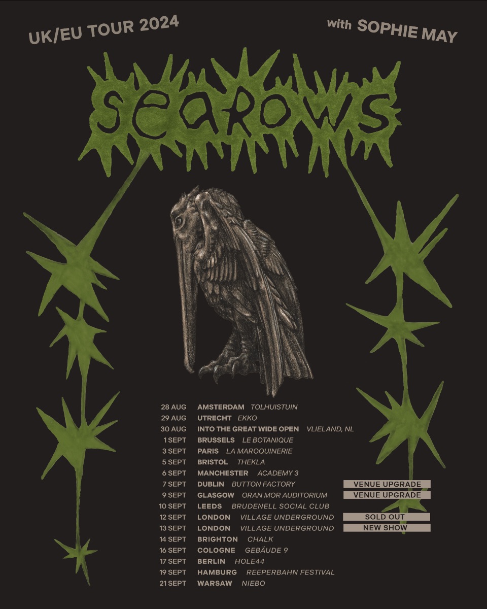 ‘martingale’ by Searows - It's Psychedelic Baby Magazine