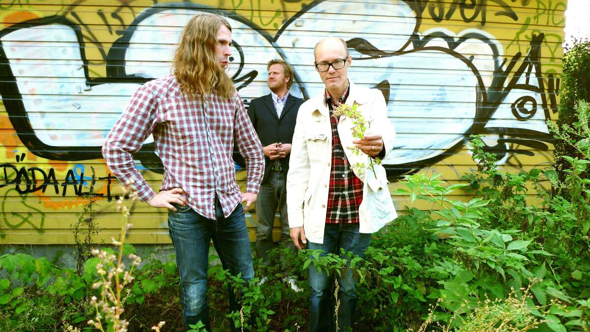 New Rose | Interview | New Album, 'Hold No Grudges' - It's Psychedelic ...