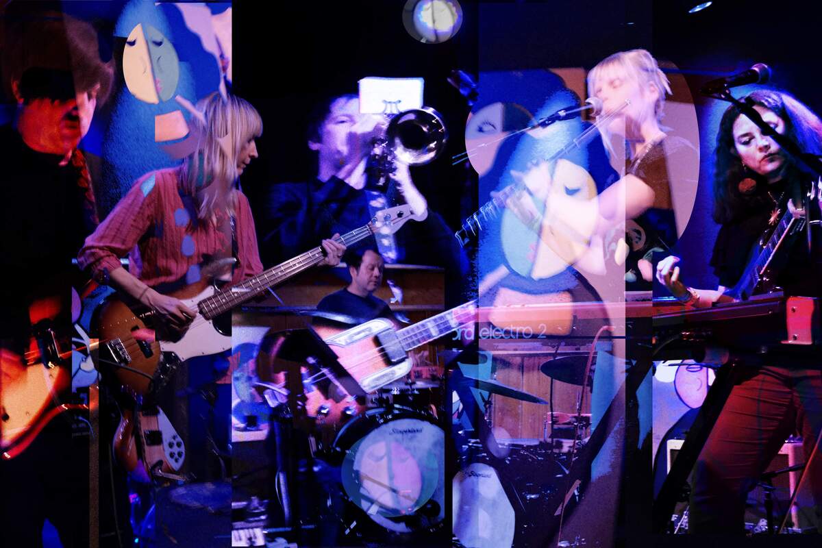 Revisiting 'The Albemarle Sound': The Ladybug Transistor’s 25th ...