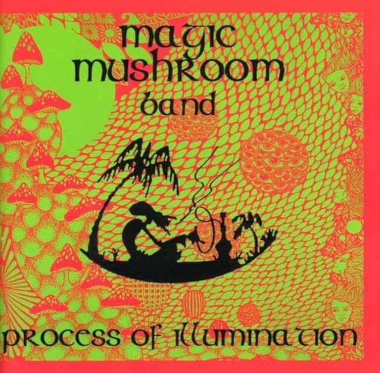 Magic Mushroom Band | Interview | Garry Moonboot Masters - It's ...