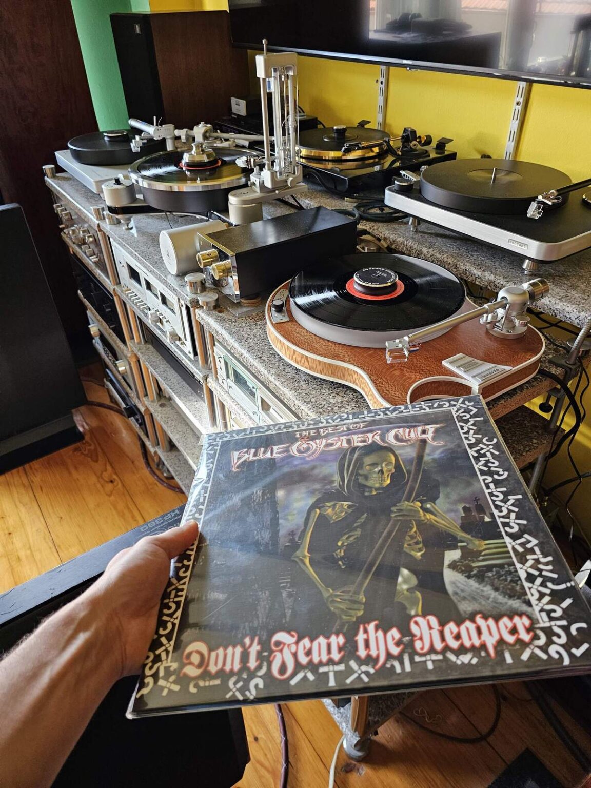The 13th Floor Elevators Through Ripley’s Lens | A DIY Documentary ...