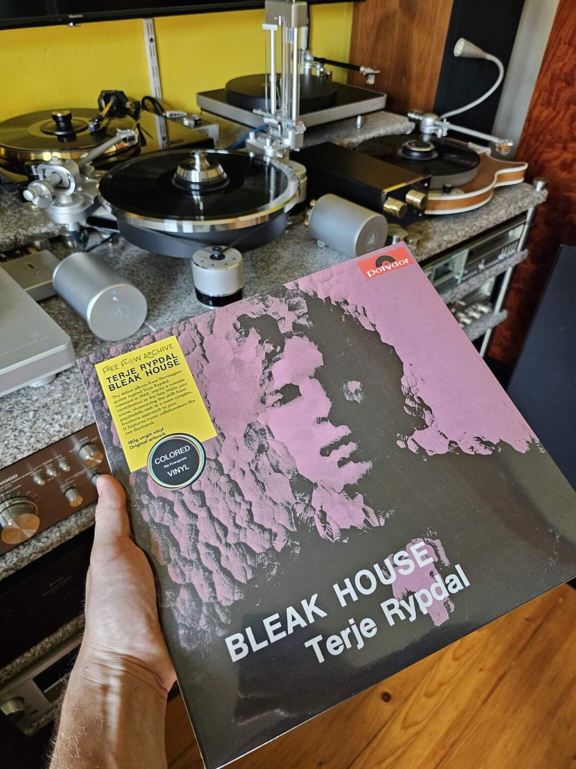 Surf, Storms & the Making of 'King': Tanya Donelly of Belly Looks Back ...